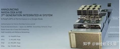Nvidia Dgx 与 Nvidia Hgx 有什么区别 知乎