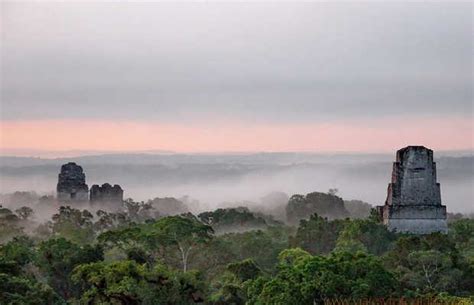 Tikal National Park In Tikal 36 Reviews And 207 Photos
