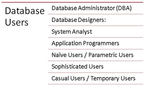 Types Of Database Users