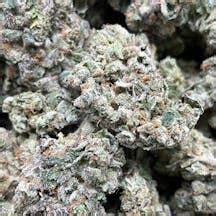 Hellcat Aka Hell Cat Hellcatz Weed Strain Information Weedmaps
