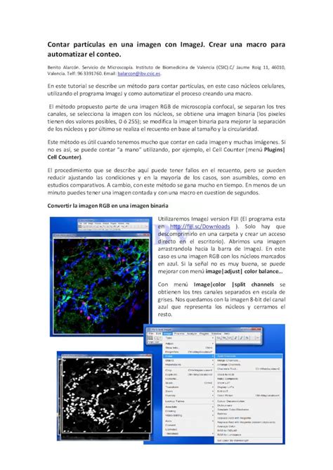 PDF Contar partículas en una imagen con ImageJ Crear una Selecciona la imagen de los