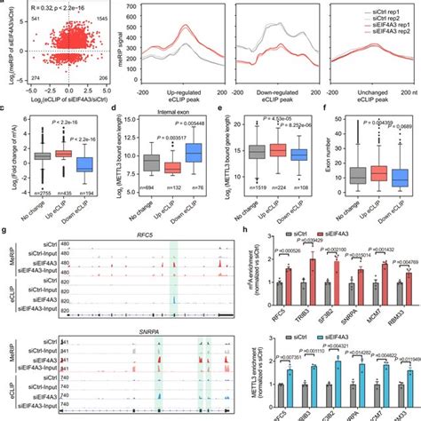 Blockade Of Mettl3 By The Exon Junction Complex Shapes The M⁶a