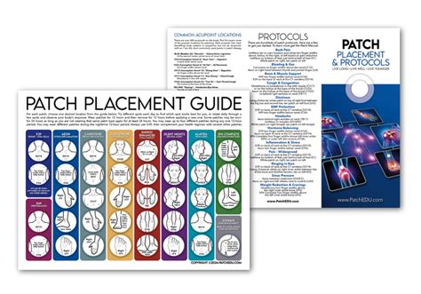 Patch Placement & Protocol Trifold Brochures (20 Pack) – PatchEDU