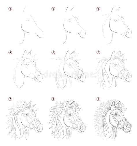 Creation Step By Step Pencil Drawing Page Shows How Learn To Draw