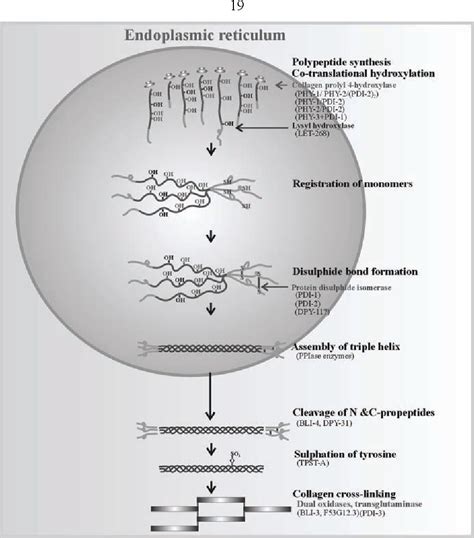 figure 1 from a b c d e f g semantic scholar