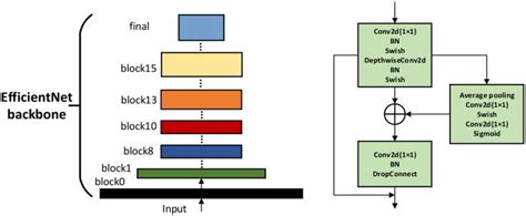 Efficientnet Model Basic Architecture Download Scientific Diagram