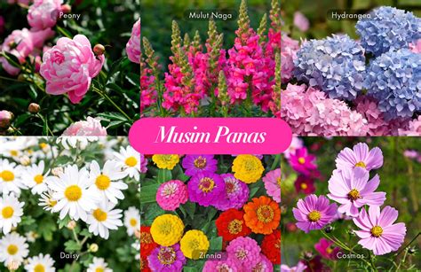 Pilihan Bunga Untuk Dekorasi Pernikahan Berdasarkan Musim Weddingku Com