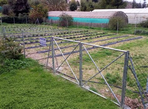 Περίφραξη Διχτυωτό Σωλήνα Γαλβανιζέ ΠΛΕΚΤΑΜ ΑΕ