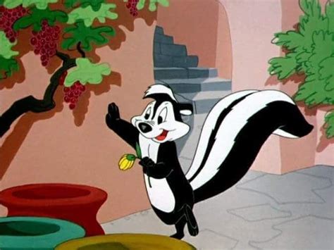 Pepe Le Pew Marry Bugs Bunny Cartoons Pepe Le Pew Looney Tunes