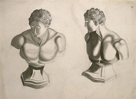 Male Anatomy Diagram Art Diagram Of The Male Body Muscles Figure