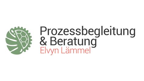 Elvyn Lämmel Mediation Moderation And Prozessbegleitung