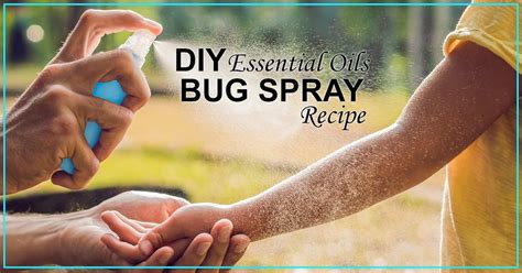Essential Oil Bug Spray Recipe Which Oils Repel Mosquitos