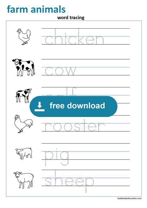 Premium Vector Trace And Color Worksheets Color Words Tracing