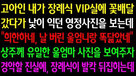 실화사연고아인내가 장례식vip실에 꽃배달갔다가 낯익던 영정사진을보는데 희한하네 날버린 울엄니랑 똑닮았네 상주께유일한 울엄마사진을 보여주자 경악할진실에 장례식 발칵