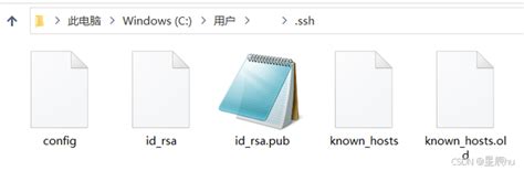 书生大模型实战营第4期课程—入门岛第1关：linux基础知识 csdn博客