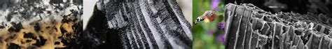 Biochar Guidelines