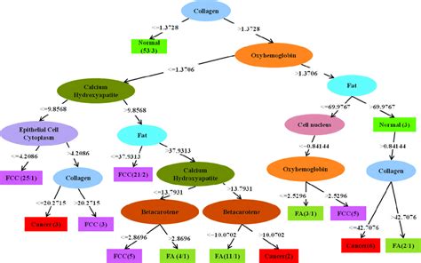 Decision Tree Generated Using The C4 5 Algorithm On The Fit Download Scientific Diagram