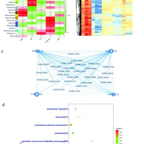 Co Expression Module Analysis Of Transcriptome In Leaf Tissue A