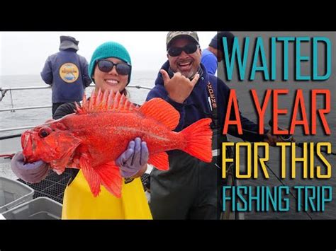 Catching and Releasing 352 Rockfish While Fishing for Science ...