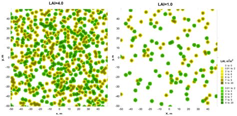 The Spatial Distributions Of Birch And Pine Leaf Area Index Lai Download Scientific Diagram