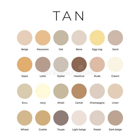 Tan Beige Color Shades Swatches Palette With Names Stock Vector Illustration Of Samples