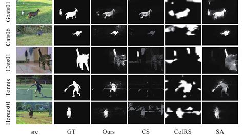 Biological Eagle Eye Inspired Target Detection For Unmanned Aerial