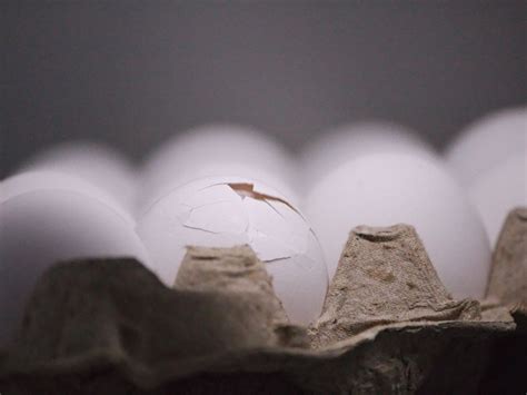 Як перевірити яйця на свіжість Визначаємо тухле яйце без розбивання шкаралупи