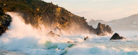 elixir botanicae expressions