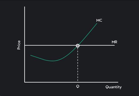 what is profit maximization outlier