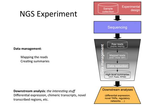 Rna Sequencing Analysis Tutorial With Ngs Pdf Genetics Science Rna Sequencing Analysis Tutorial With Ngs Pdf Genetics Science