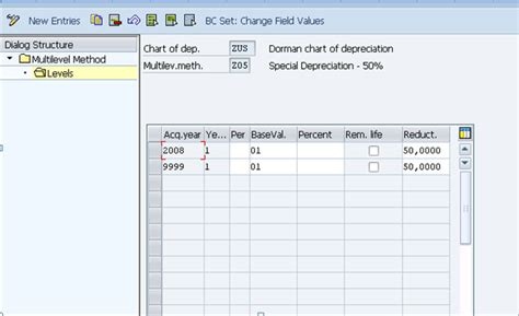 Solved Issue With Bonus Depreciation Wrong Calculation Sap Community