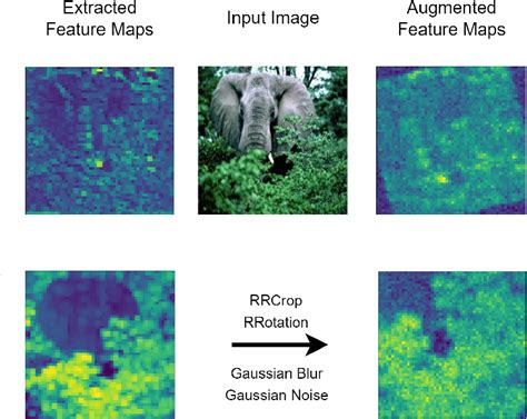 Cnn Feature Map Augmentation For Single Source Domain Generalization Paper And Code Catalyzex