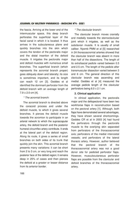 Multidetector Row Computed Tomography Analysis Of The Anatomical Characteristics Of