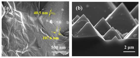 A Silicon Sub Bandgap Near Infrared Photodetector With High Detectivity
