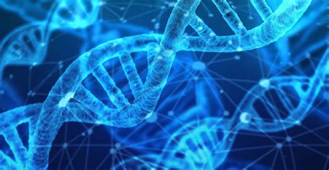 Non Modifiable Risk Factors Dementiahub Sg