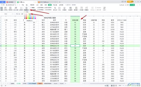 Wps表格如何设置十字光标的颜色 Wps Excel调整横竖十字颜色的方法教程 极光下载站