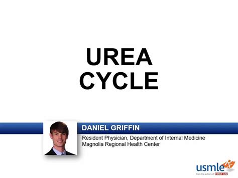 Urea Cycle