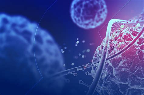 Quer Conhecer Os Exames Realizados Pela Spect Spect