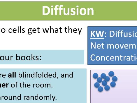 KS Year Cells What Is Diffusion Teaching Resources