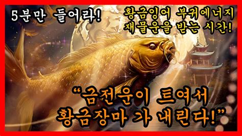 5분만 들어라🌕금전운이 트여서 황금장마 가 내린다🌕부귀재물의 황금잉어 재물운 에너지 자기암시 명상음악 돈을