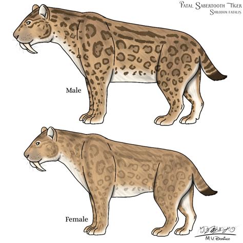 Smilodon Fatalis By Ognimdo2002 On Deviantart