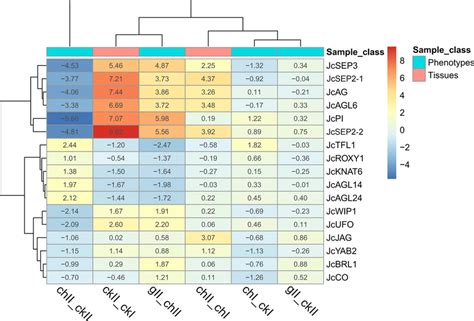 hierarchical clustering of differentially expressed genes degs