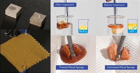 Coating Technology Surface Chemical Functionalization For Developing Functional Hydrophobic