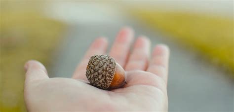 Crack Open ACRN A Device Hypervisor Designed For IoT Linux