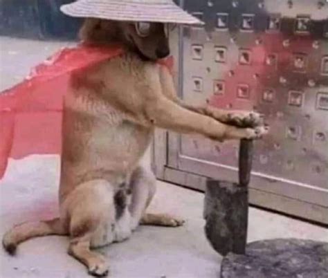 Ehe Tte Nanda Yo R Genshin Impact