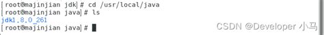 Linux【javaee】—— 搭建 Javaee 开发环境（附软件安装教程、下载地址）javaee安装 Csdn博客