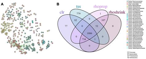 Shared Interactions Between Relevance Networks A Consensus Network Download Scientific