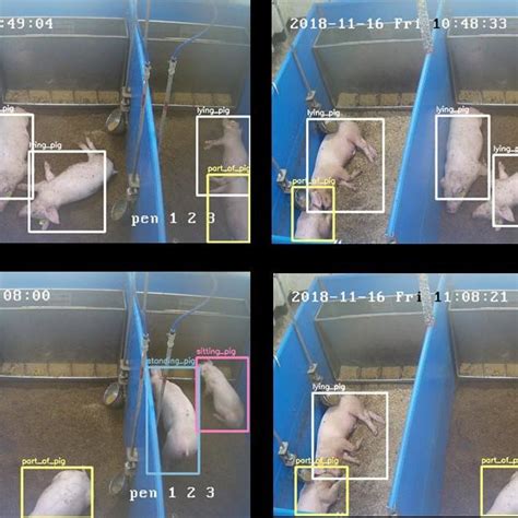 Dataset Details For Posture Detection Download Scientific Diagram