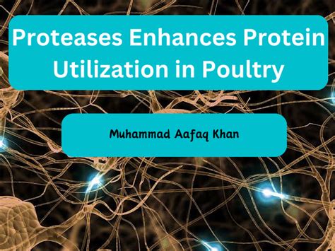 Phosphorus And Phytate Brief Old Review Foodfeedinfo