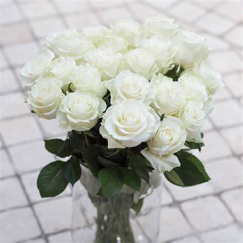 White Roses Wholesale Bulk Fresh Cut Ecuadorian Wedding Farm Direct